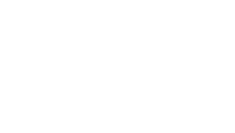 Tellerix – IT Solutions